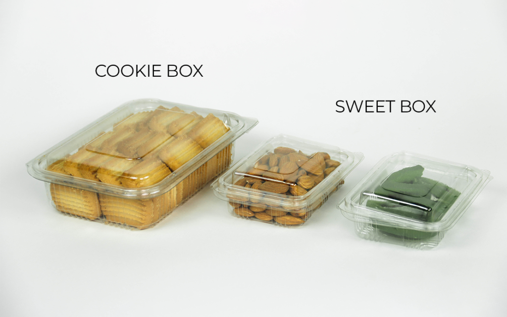 Hinged Container - Hi5lmr